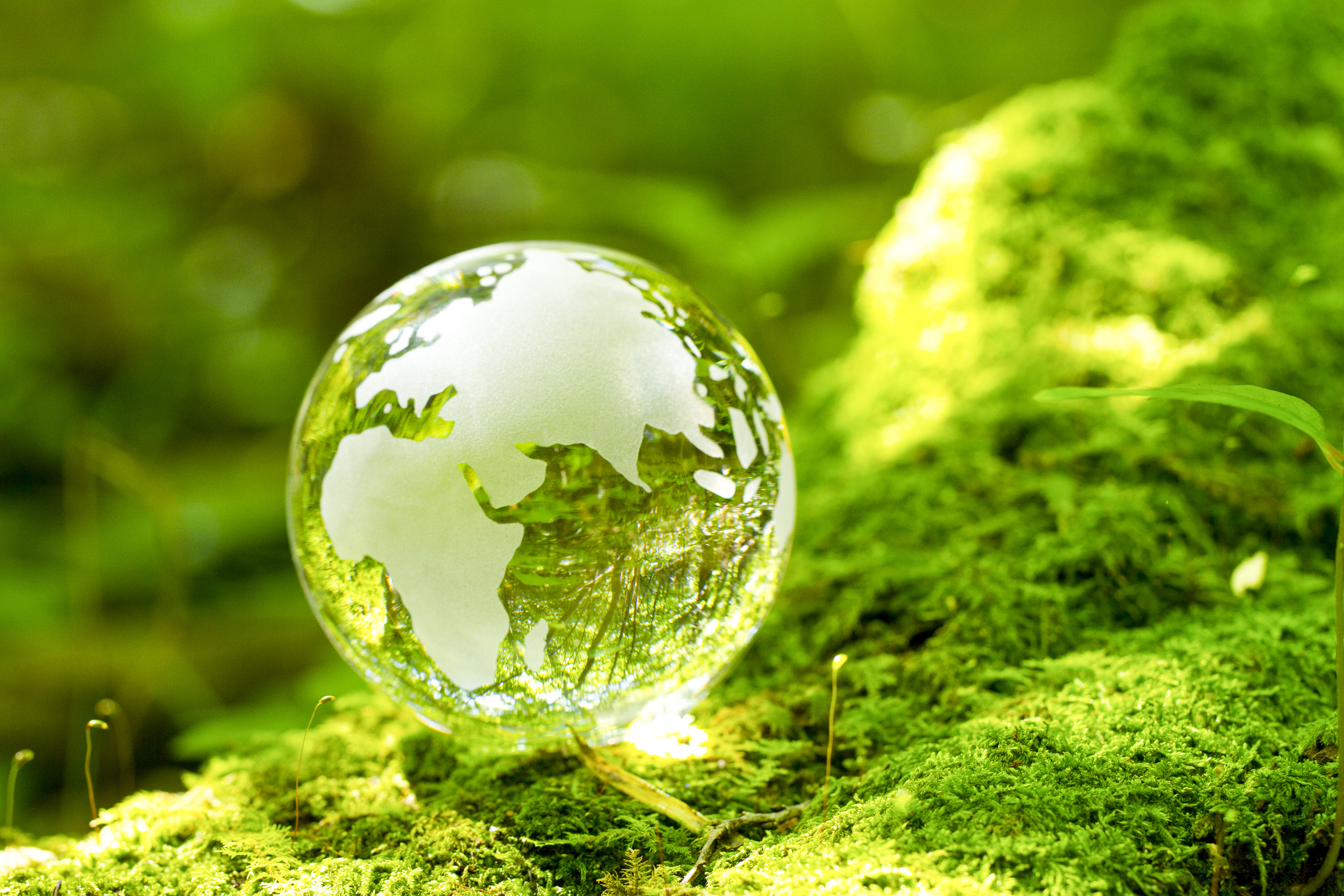 Innovation - API Transfer Technologies